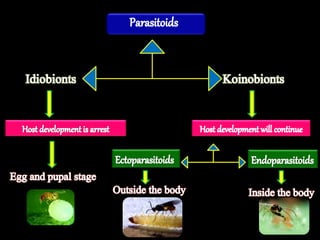 Parasitoids | PPTX
