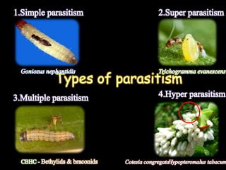 Parasitoids | PPTX