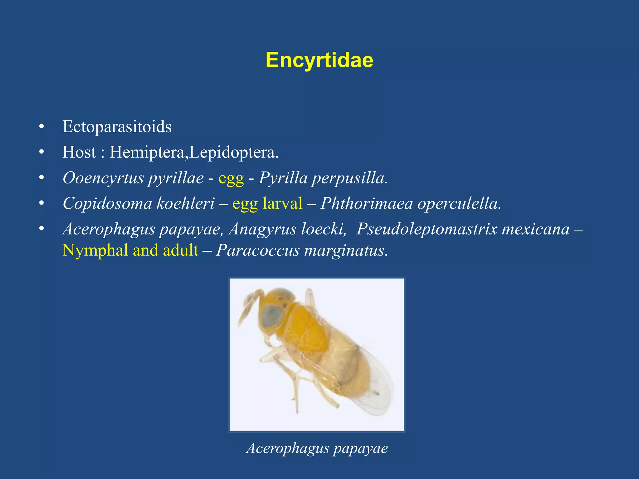 Parasitoids | PPTX