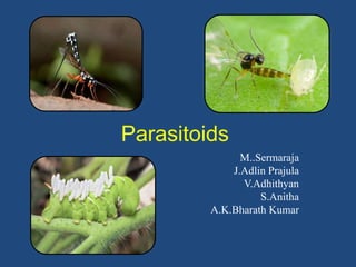 Parasitoids | PPTX