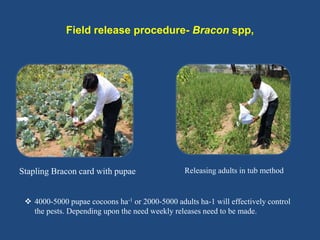 Parasitoids | PPTX