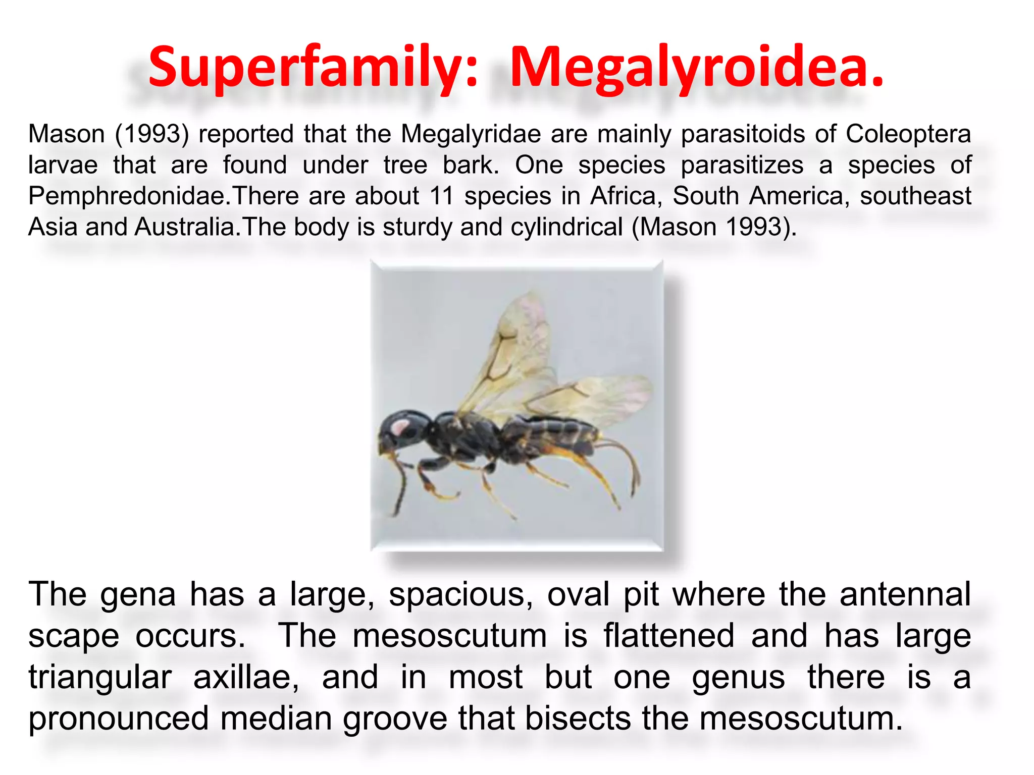 Study of hymenopteran Parasitoids.pptx