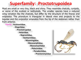 Study of hymenopteran Parasitoids.pptx