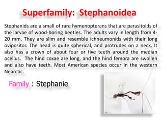 Study of hymenopteran Parasitoids.pptx