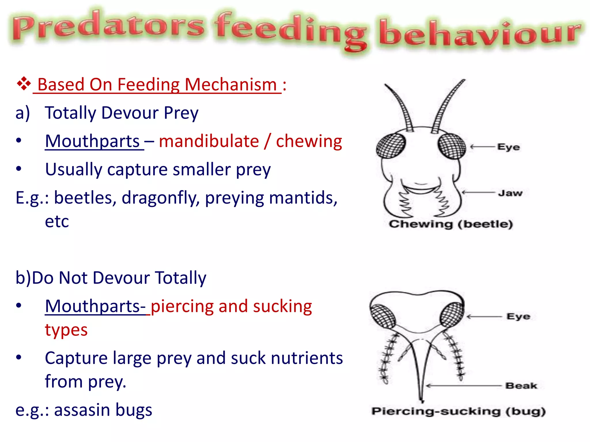 Parasitoids and Predators, their attributes. | PPTX