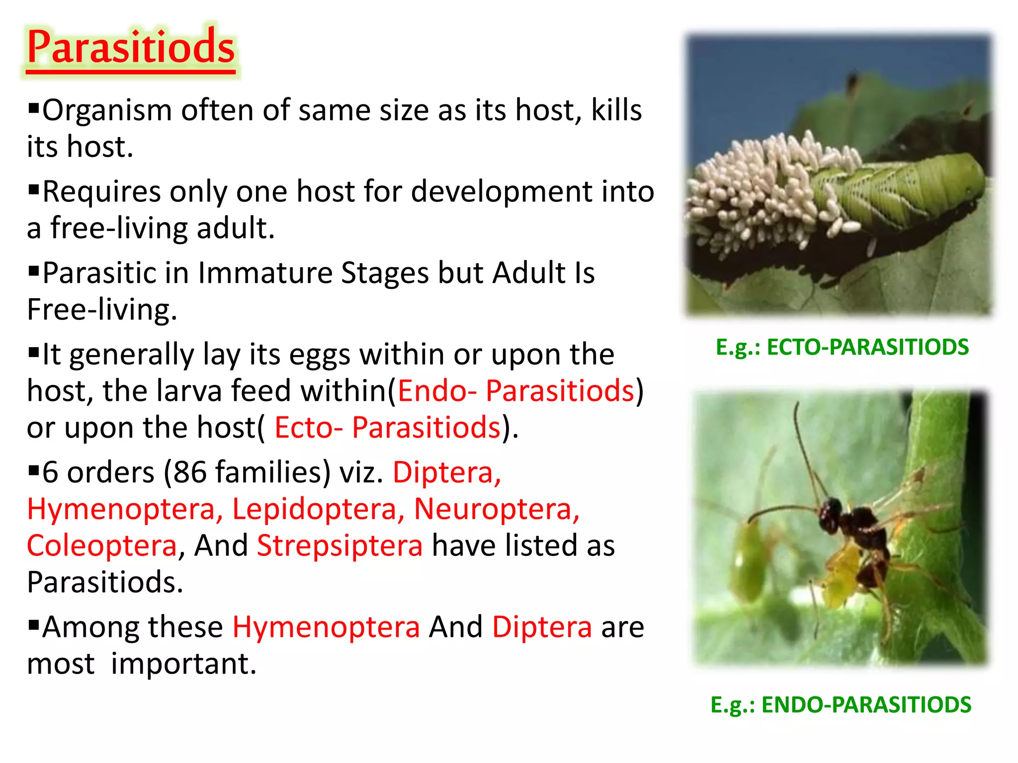 Parasitoids and Predators, their attributes. | PPTX
