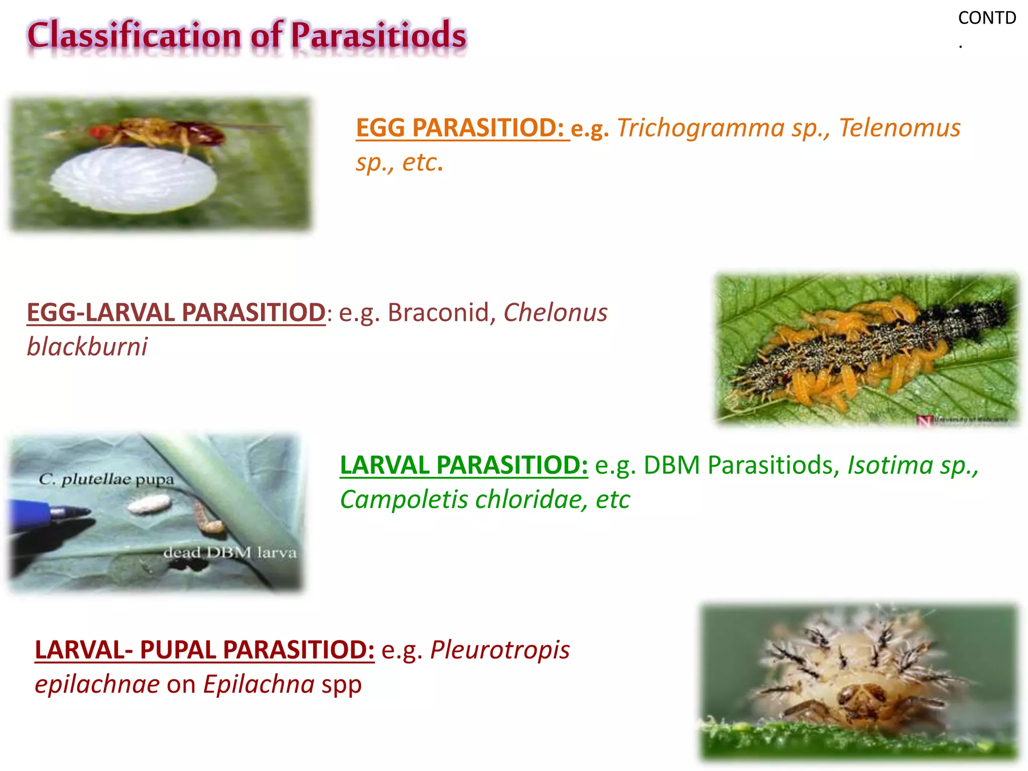 Parasitoids and Predators, their attributes. | PPTX