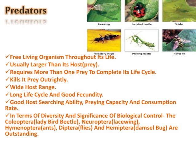 Parasitoids and Predators, their attributes. | PPTX