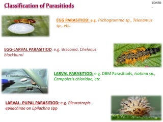 Parasitoids and Predators, their attributes. | PPTX