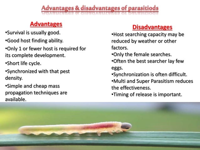 Parasitoids and Predators, their attributes. | PPTX