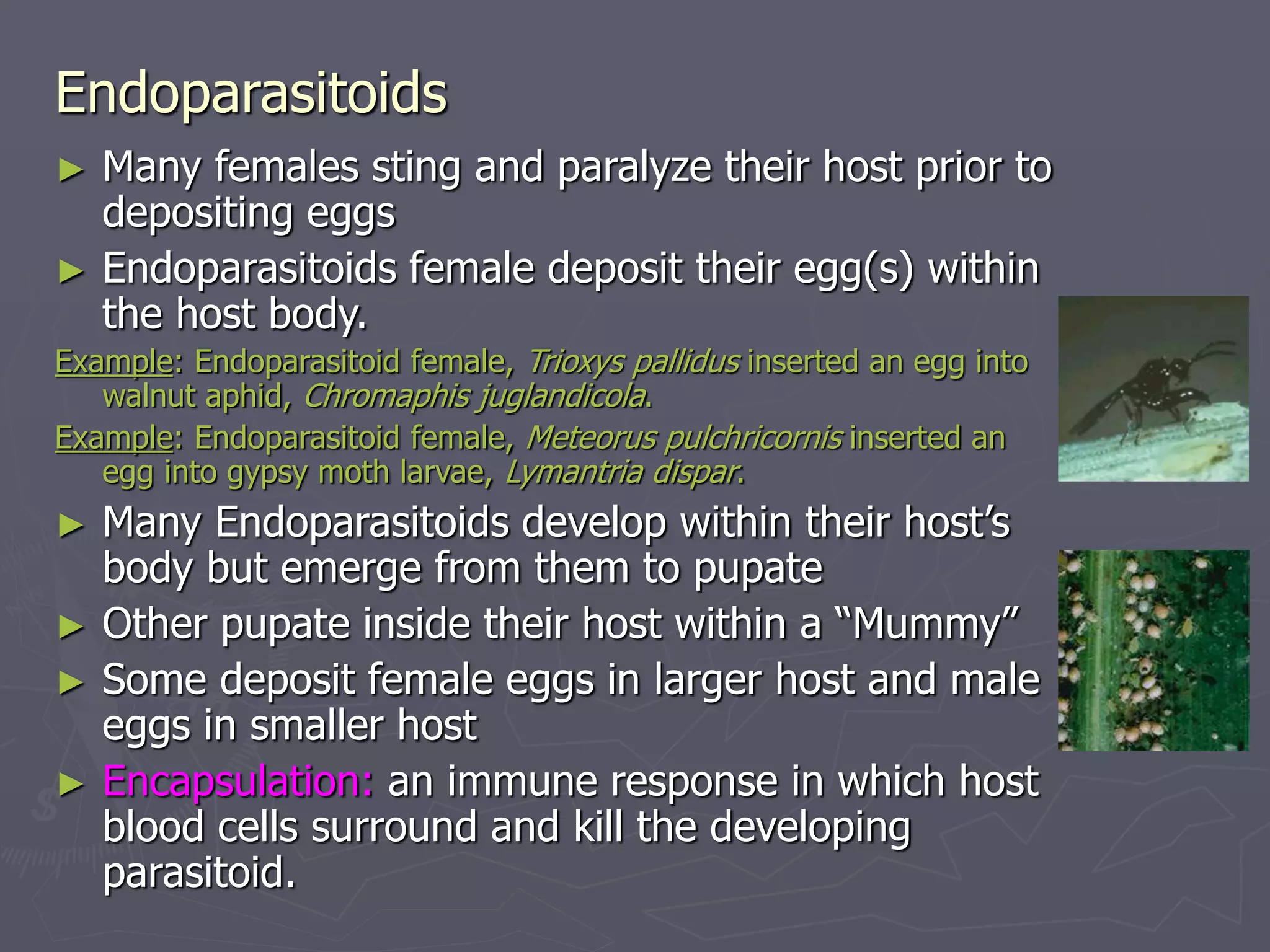 Parasitoids & Predators.ppt