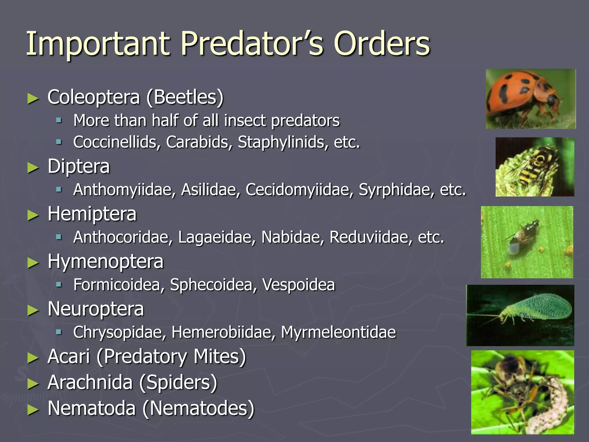 Parasitoids & Predators.ppt