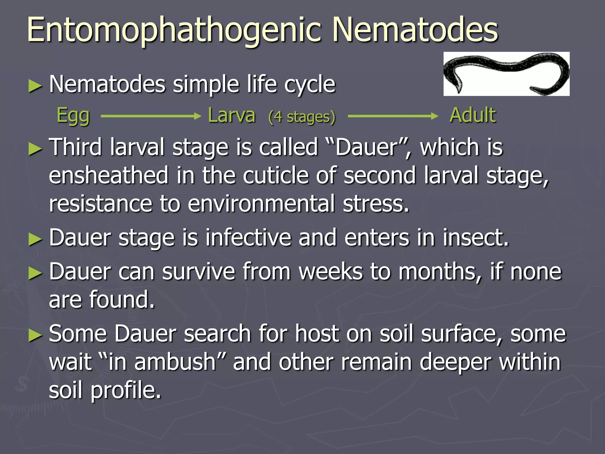 Parasitoids & Predators.ppt