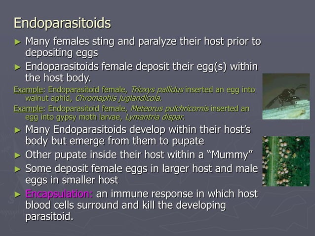 Parasitoids & Predators.ppt | Agriculture | Industries