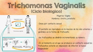 Mastigophora (Giardia lamblia y Trichomonas) | PDF