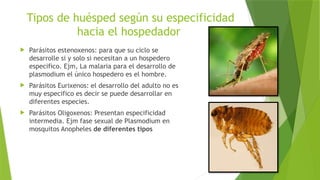 Parasitología ppt (3).pptx para farmacología | PPTX