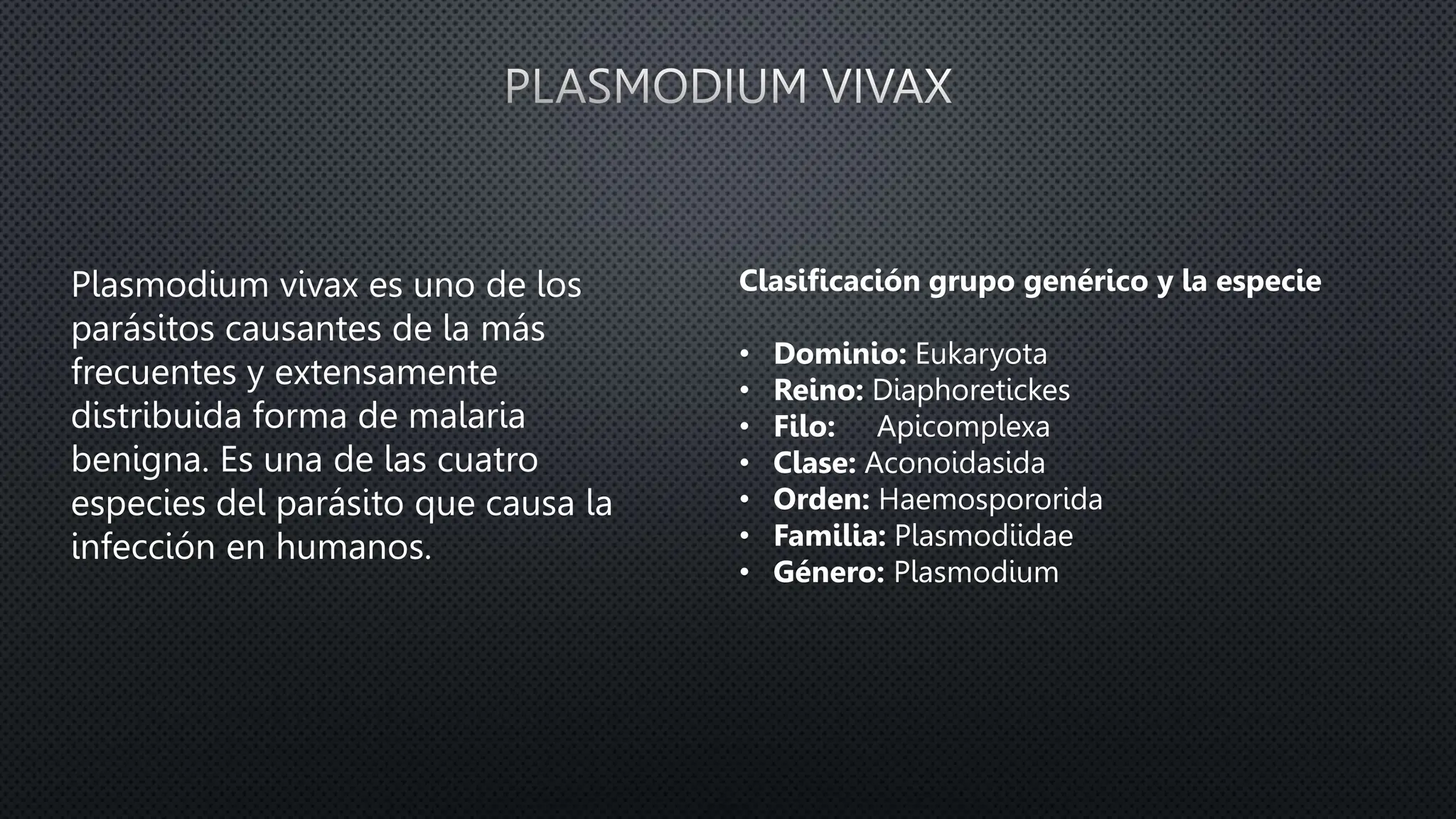 Malaria Enfermedad Plasmodium malariae.pptx