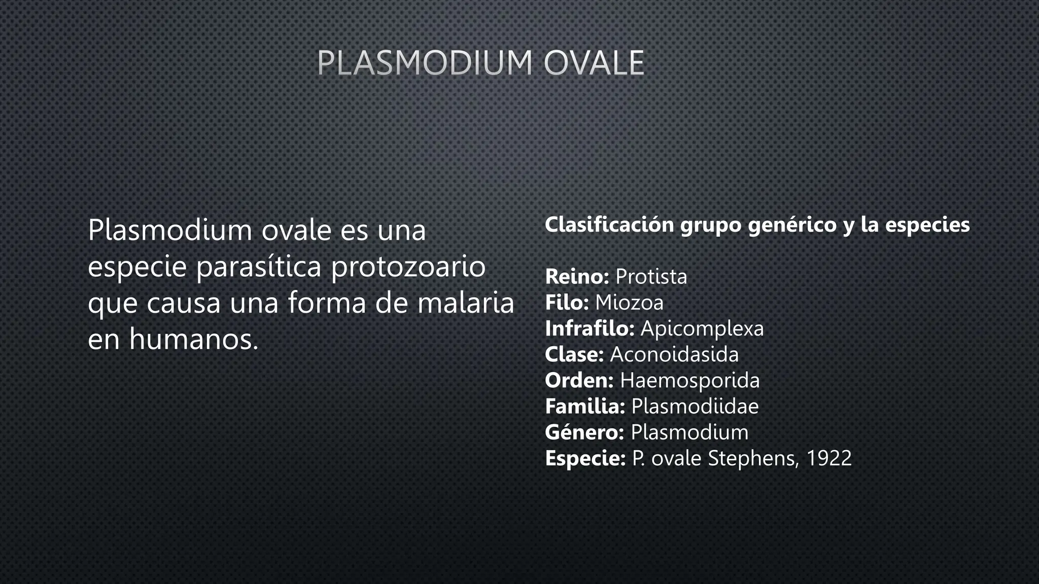 Malaria Enfermedad Plasmodium malariae.pptx