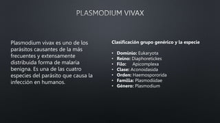Malaria Enfermedad Plasmodium malariae.pptx
