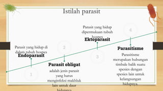 Parasite.pptx