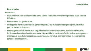 Conceitos gerais de parasitologia - protozoários | PPTX