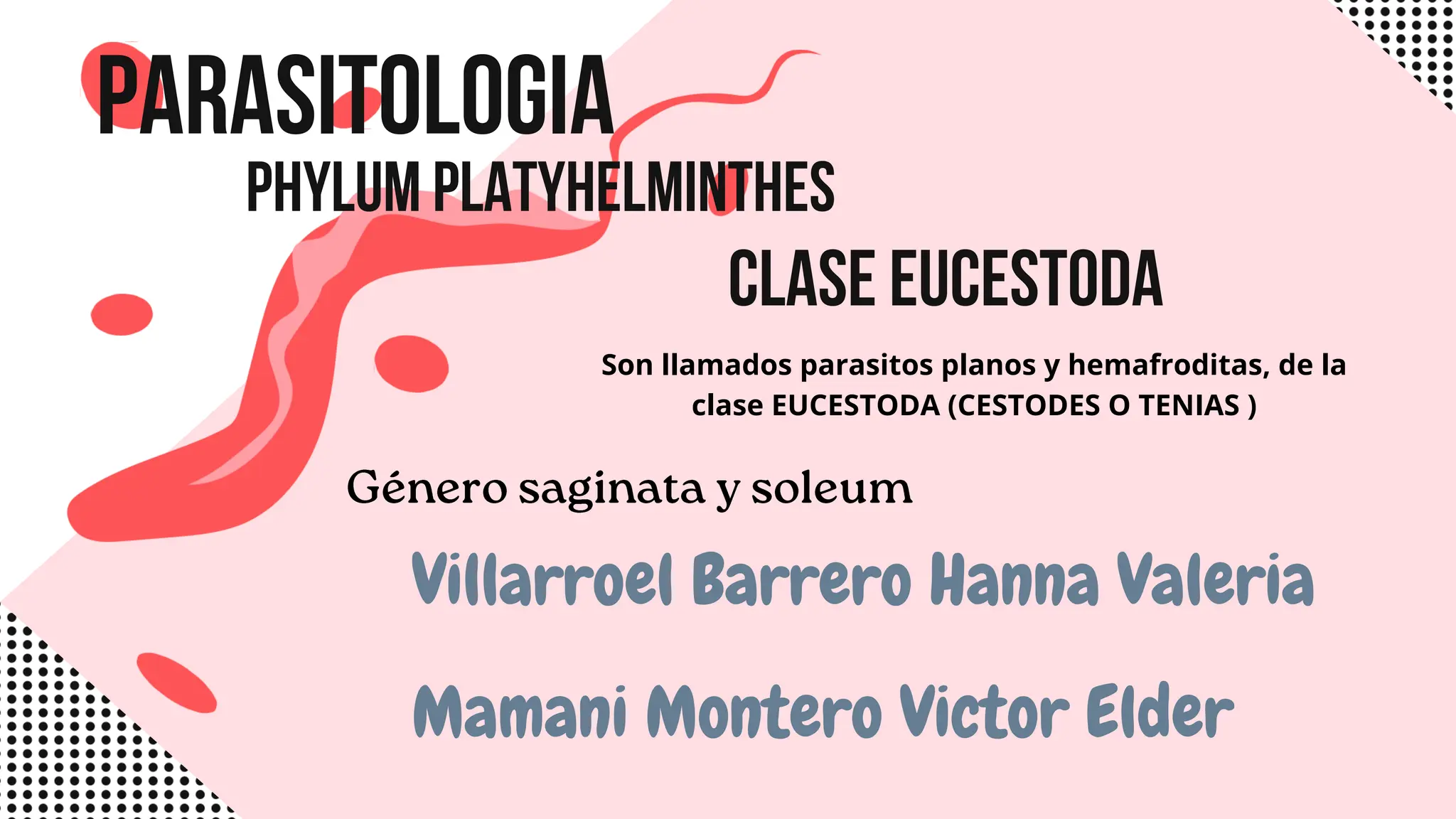 Parasitologia clase eucestoda de phylum platyhelmintes de genero ...