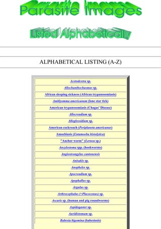[Parasitologia] atlas de parasitologia color (en) | PDF