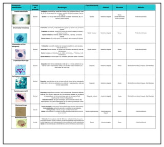 Parasitologia especial, Trabajo final (1) (1).pdf