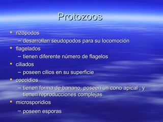 Parasitologia introduccion | PPT