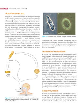 Parasitologia_Medica_Becerril_4aEd.pdf