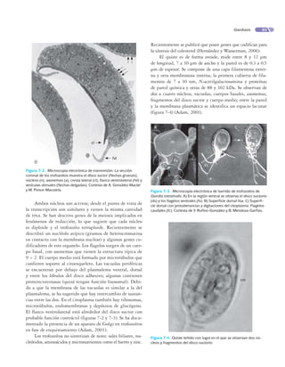 Parasitologia_Medica_Becerril_4aEd.pdf