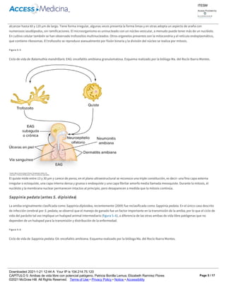 Parasitología Médica Becerril 5ta Edición.pdf