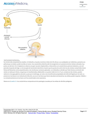 Parasitología Médica Becerril 5ta Edición.pdf