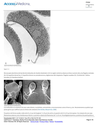 Parasitología Médica Becerril 5ta Edición.pdf