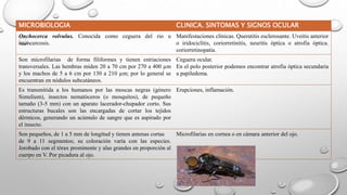 PARASITOLOGIA OCULAR1.pptx