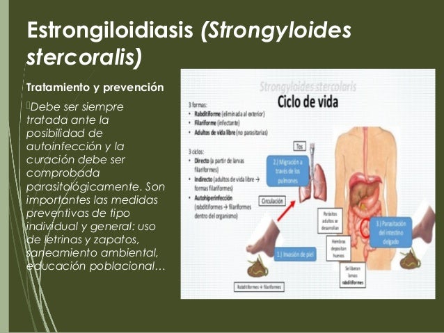 Uncinariasis O Anquilostomiasis Informacin Prctica