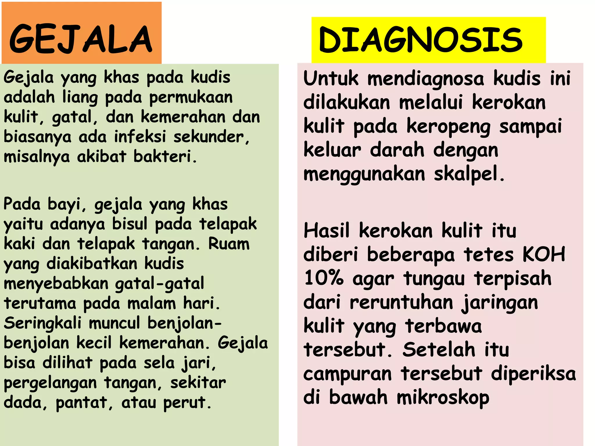 Parasitologi arthropoda presentation | PPTX