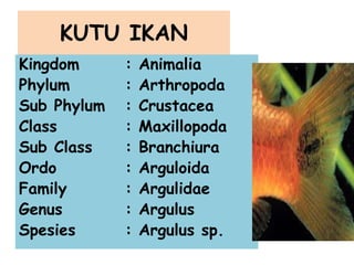 Parasitologi arthropoda presentation | PPTX