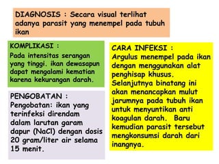 Parasitologi arthropoda presentation | PPTX