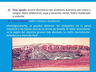 Parasitologia Semana tipos caracteristicas clasificaciones | PDF