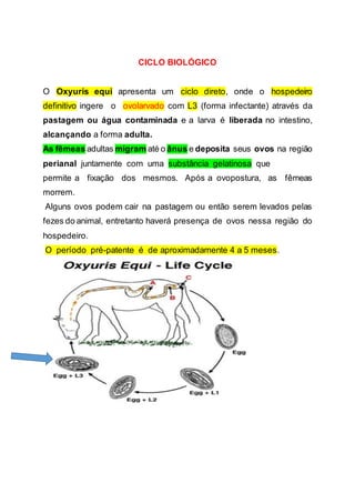 PARASITOLOGIA VETERINÁRIA Oxuryus Equi.docx