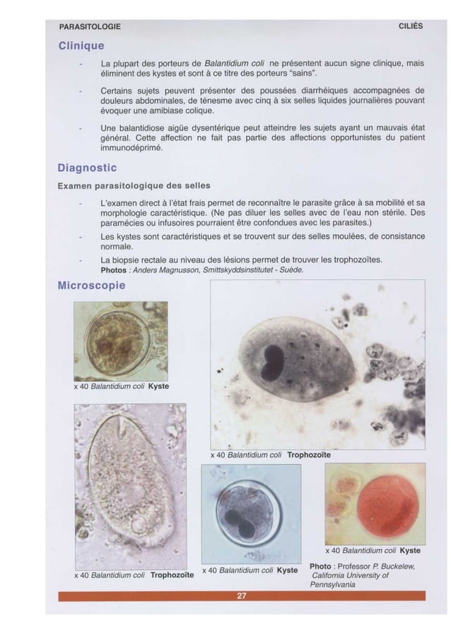 Parasitologie fiches pratiques | PDF