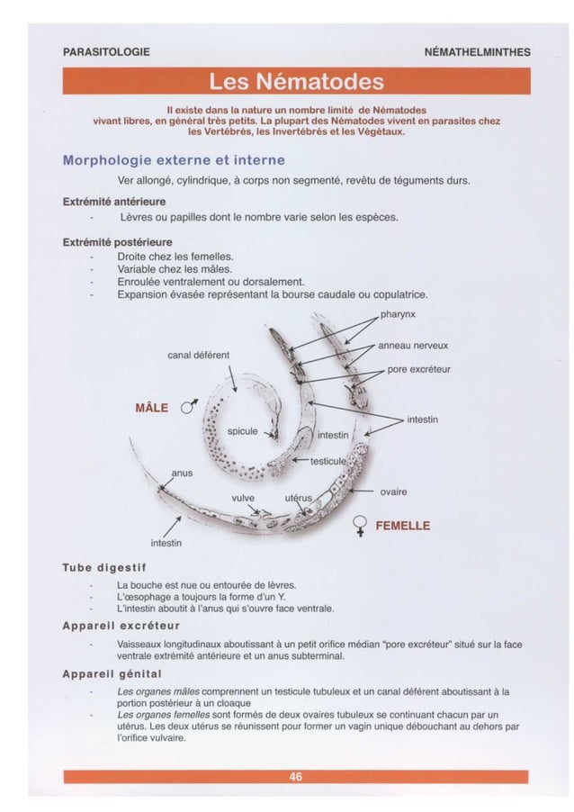 Parasitologie fiches pratiques | PDF