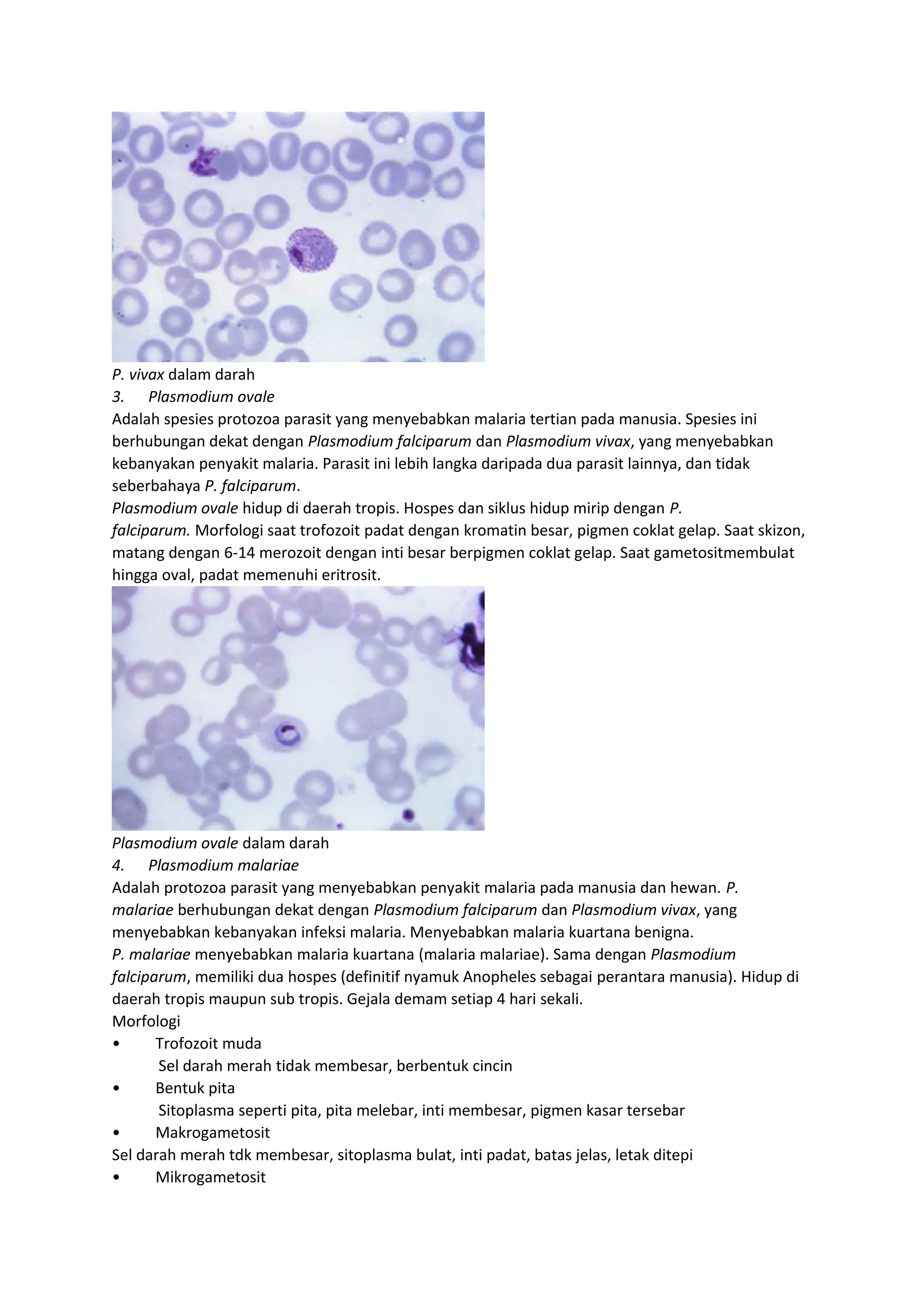 Parasitologi plasmodium | DOC