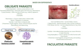 PARASITOLOGY:- AND ITS TYPES ON BASIS OF | PPT