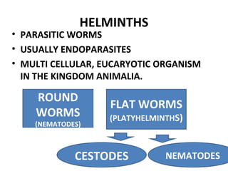Parasitology | PPT