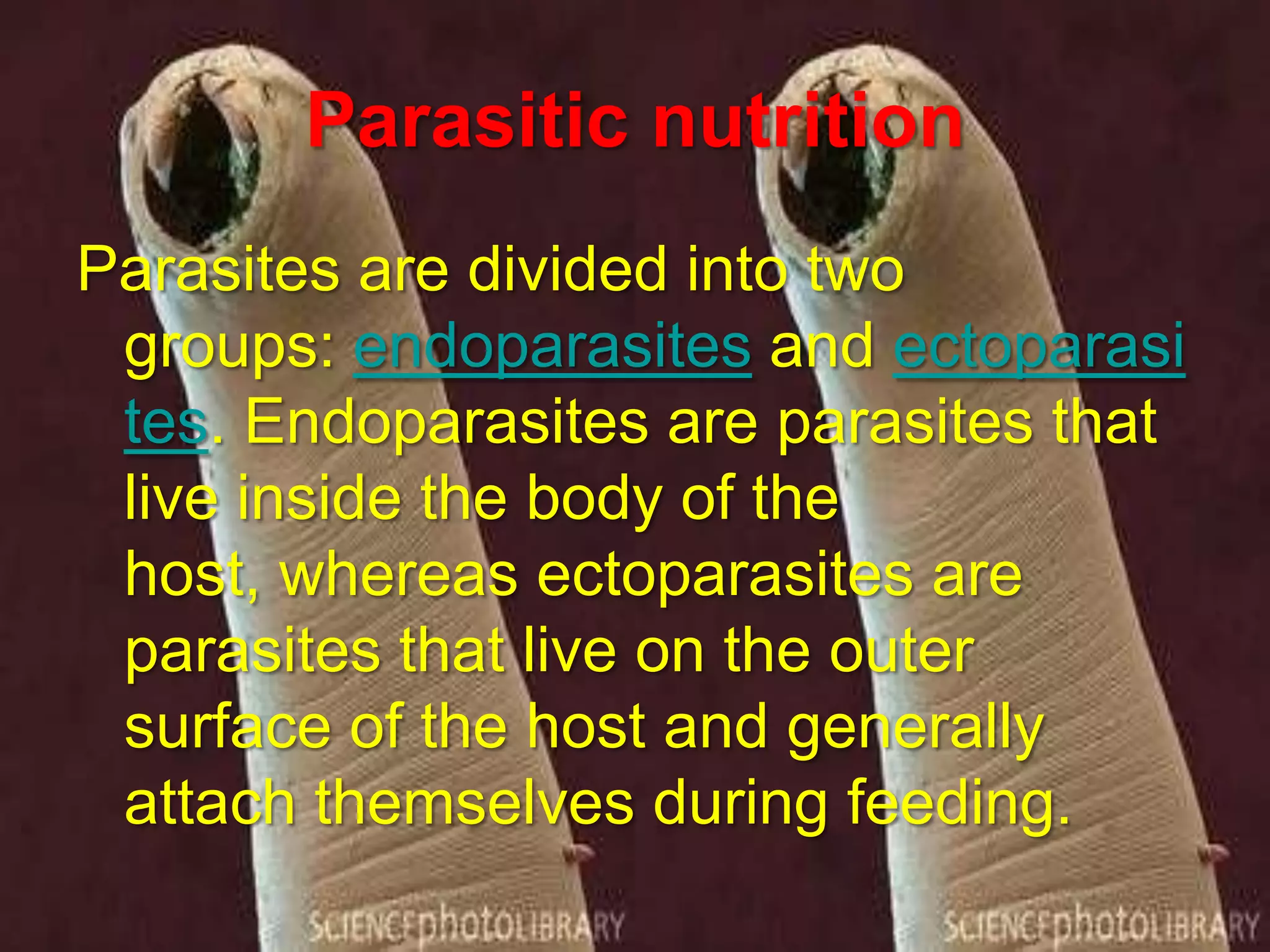 Parasitology | PPTX