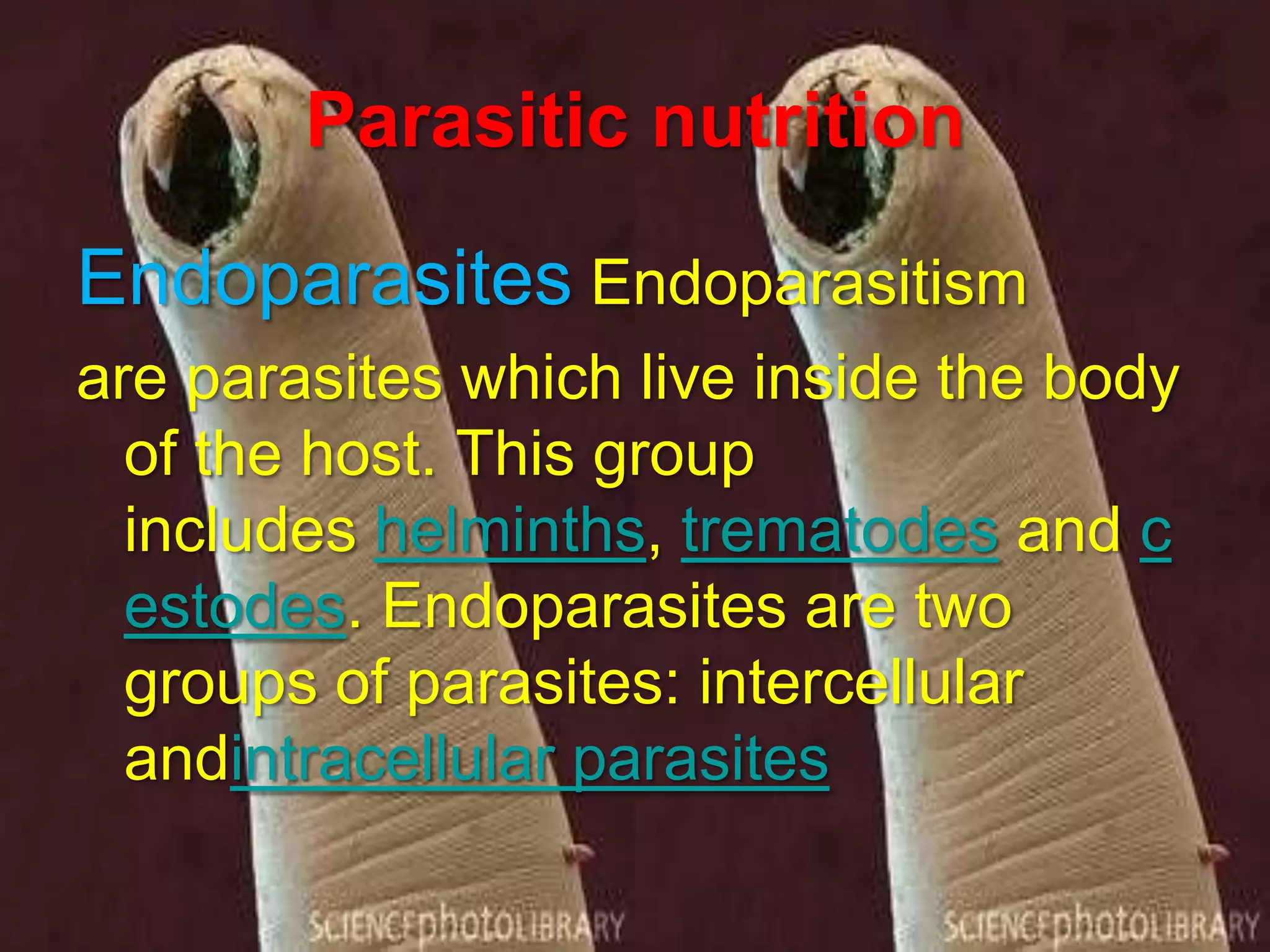 Parasitology | PPTX