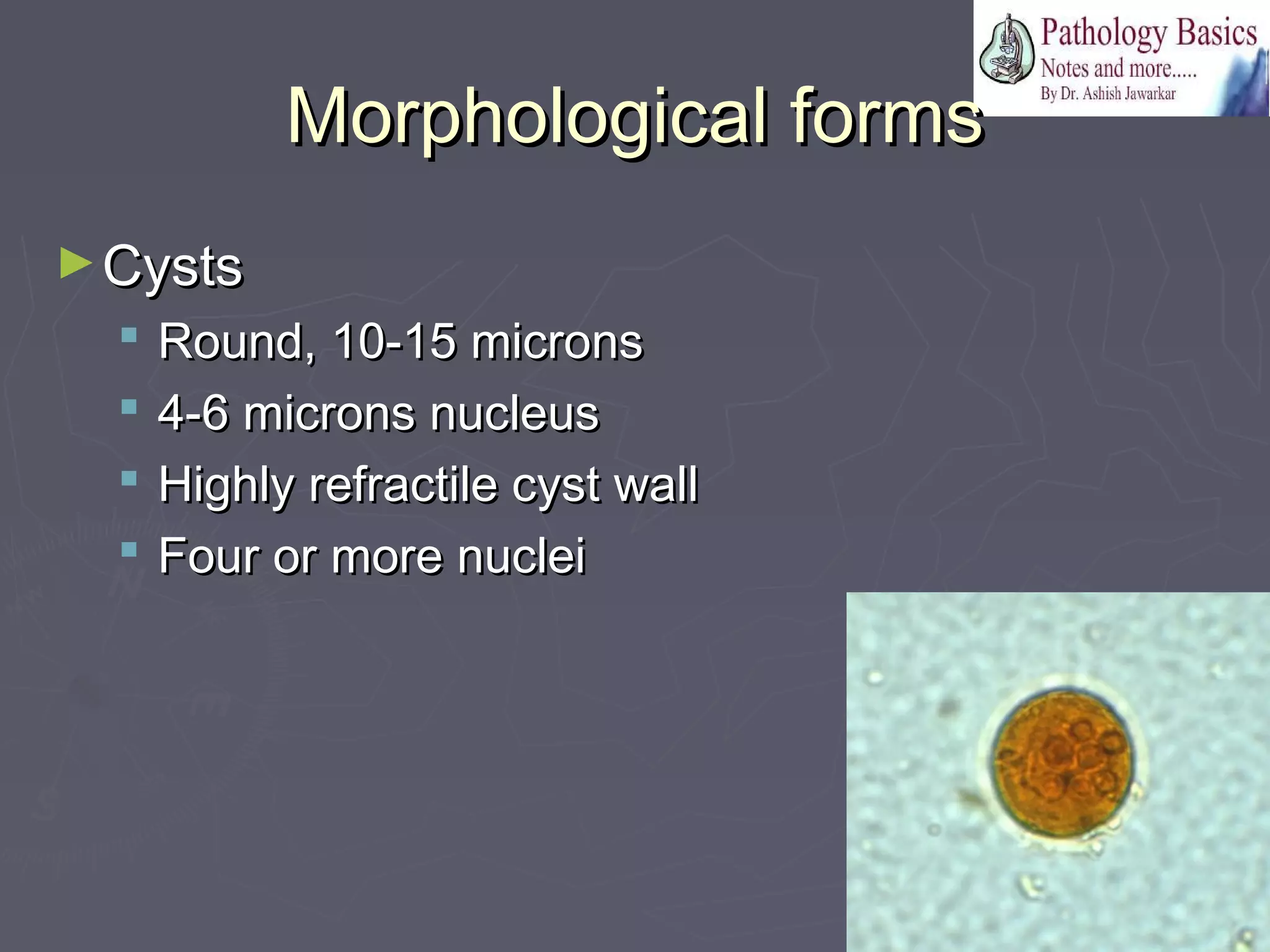 Parasitology | PPT