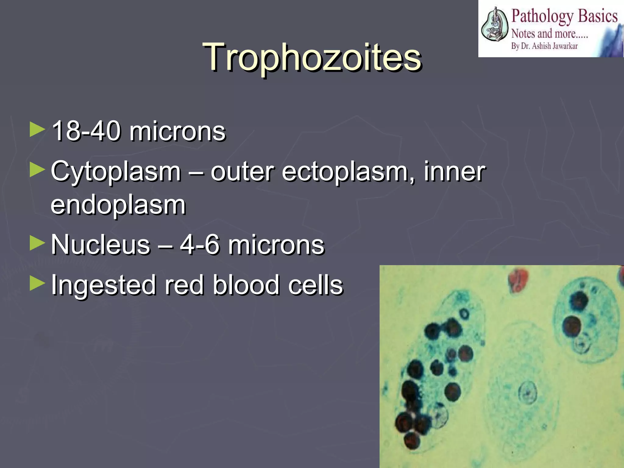 Parasitology | PPT